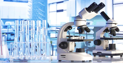 Biology B.A. | Undergraduate Biology