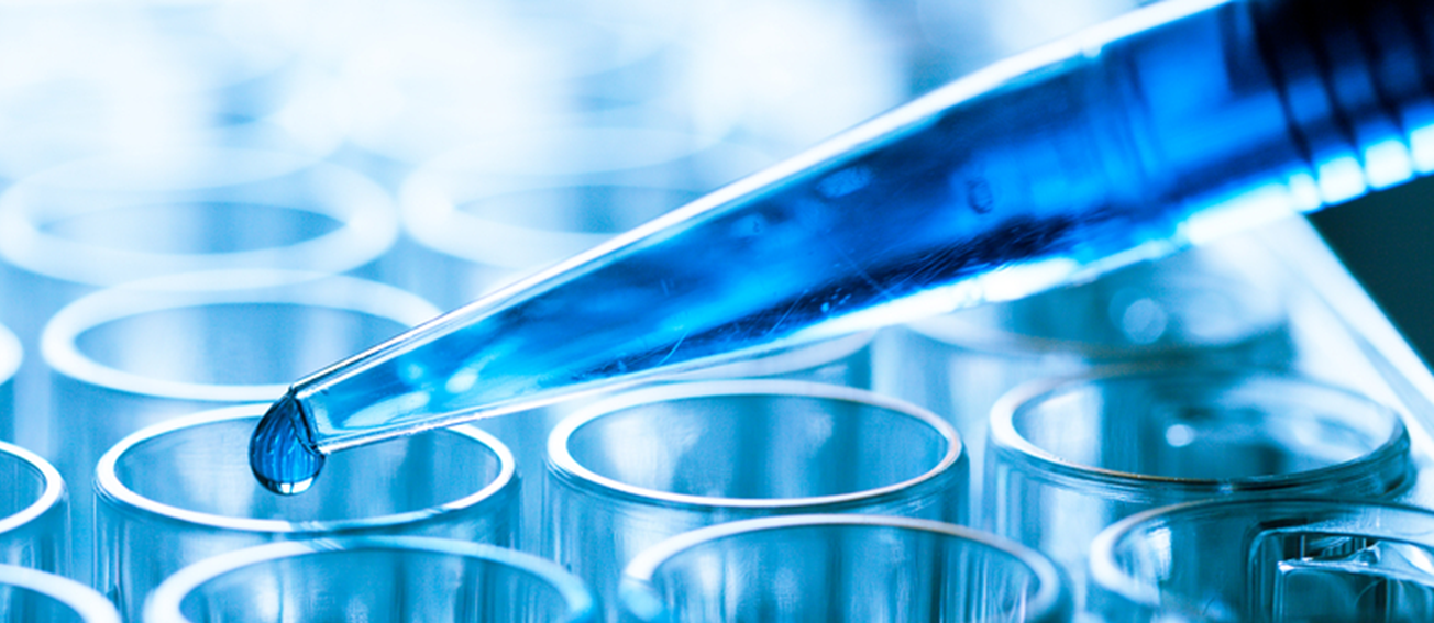 Biology Minor | Undergraduate Biology