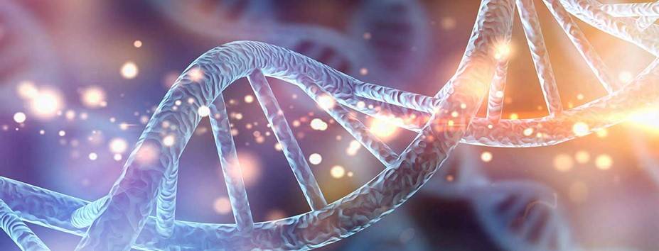Biology B.S. | Undergraduate Biology