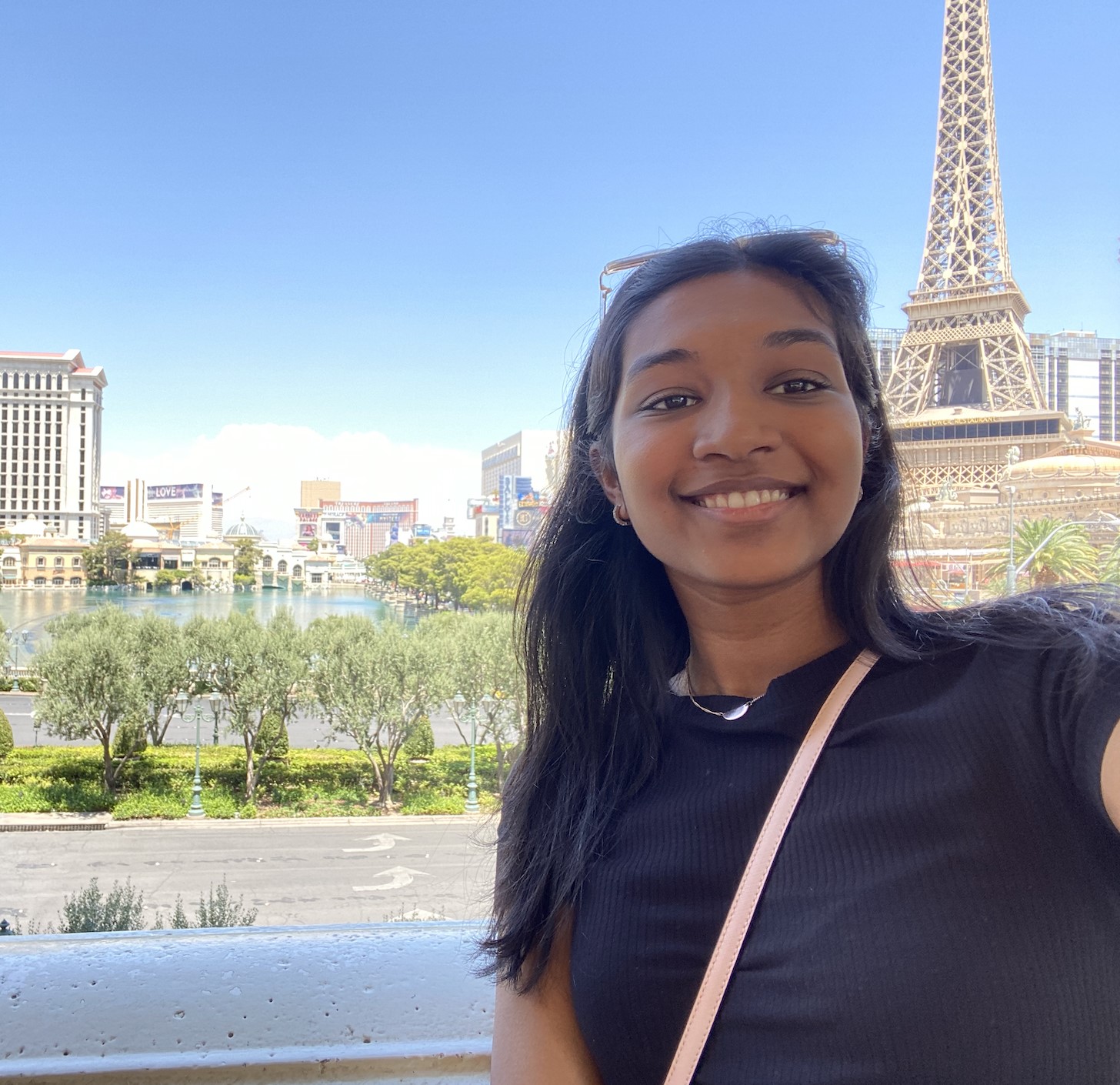 Meet the Mentors | CEAS Undergraduate Student Office