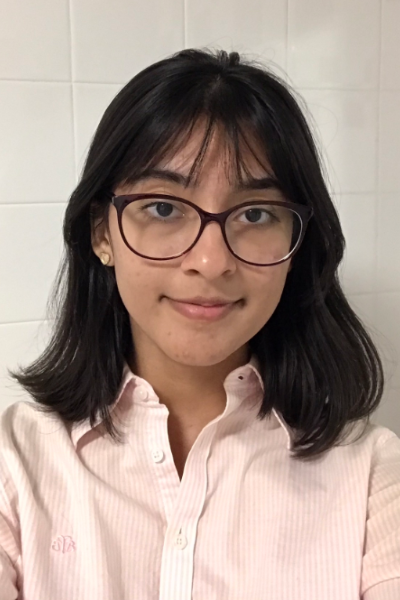 Meet the GSAs | Global Summer Institute