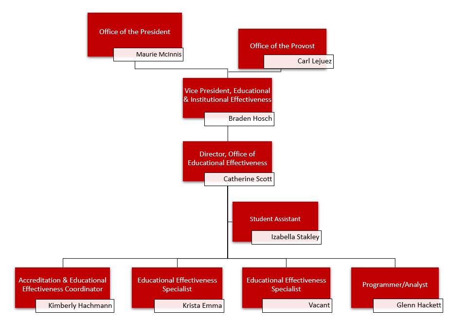 Organizational Chart | Office of Educational Effectiveness