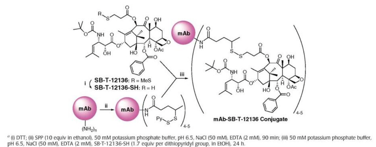 Tumor Targeting Drug Delivery | Ojima Research Group