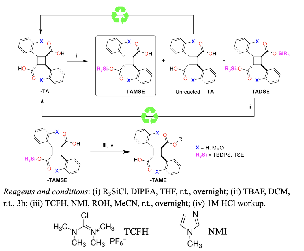 Anticancer FABP5 Inhibitors | Ojima Research Group