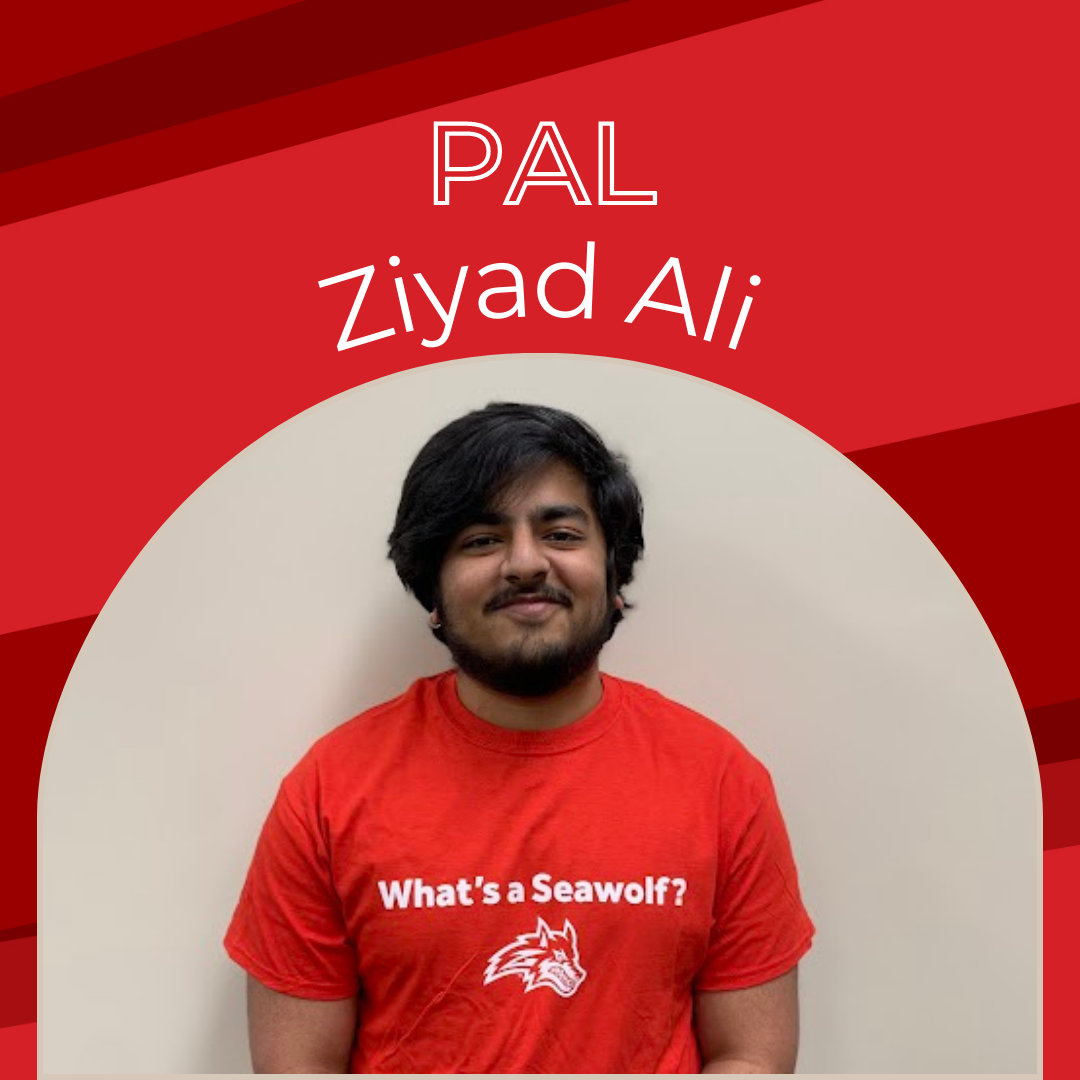 Meet The Peer Assistant Leaders | New Student & Transition Programs