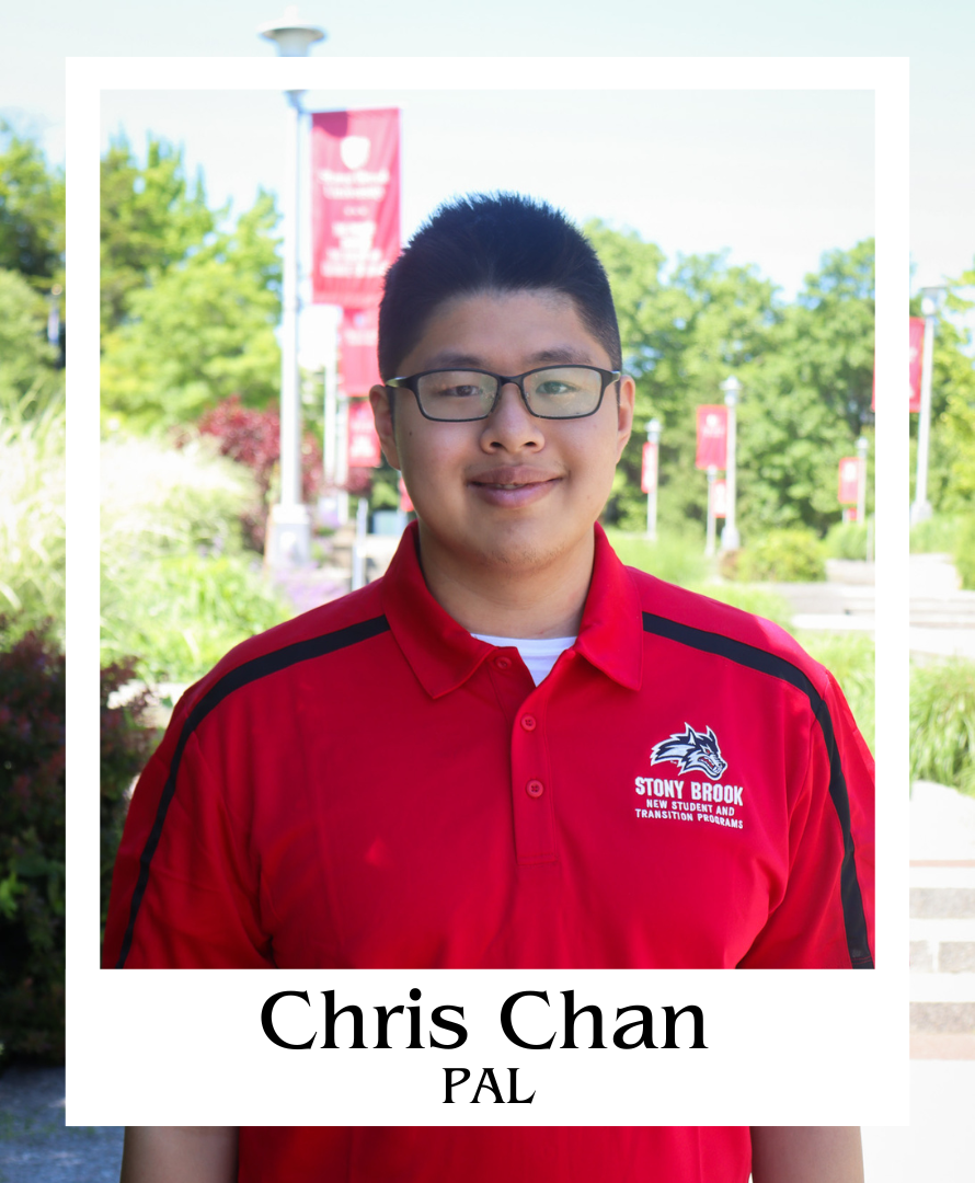 Meet The Peer Assistant Leaders | New Student & Transition Programs